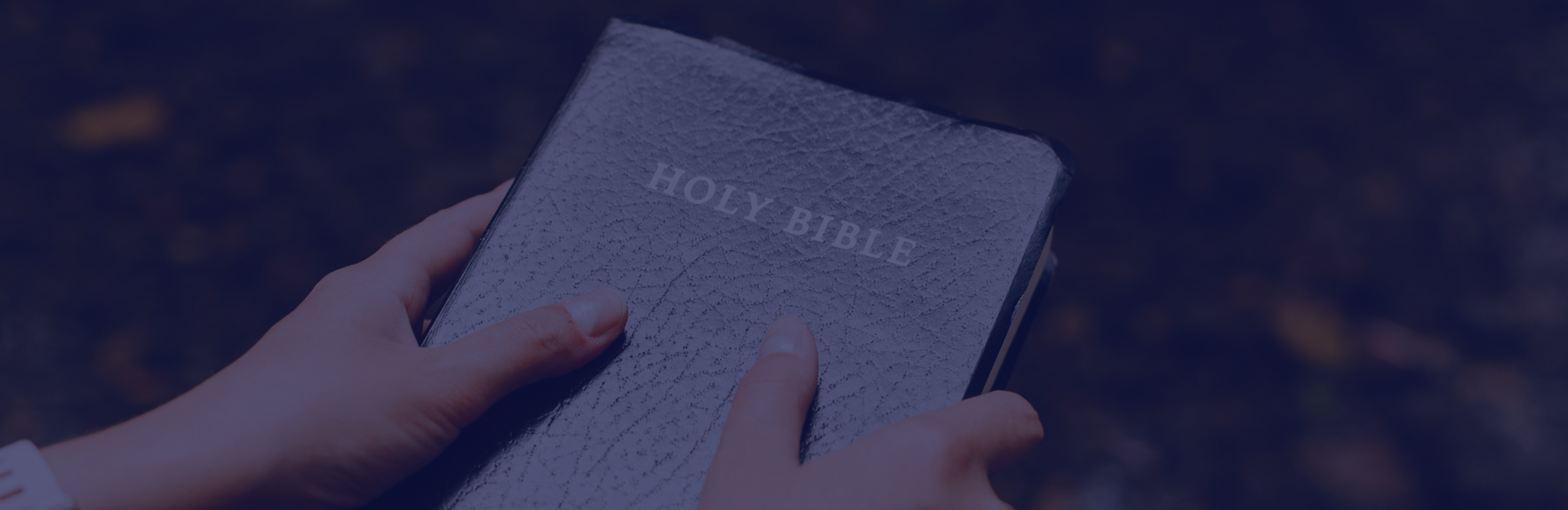 Storyline of the Bible | CLI